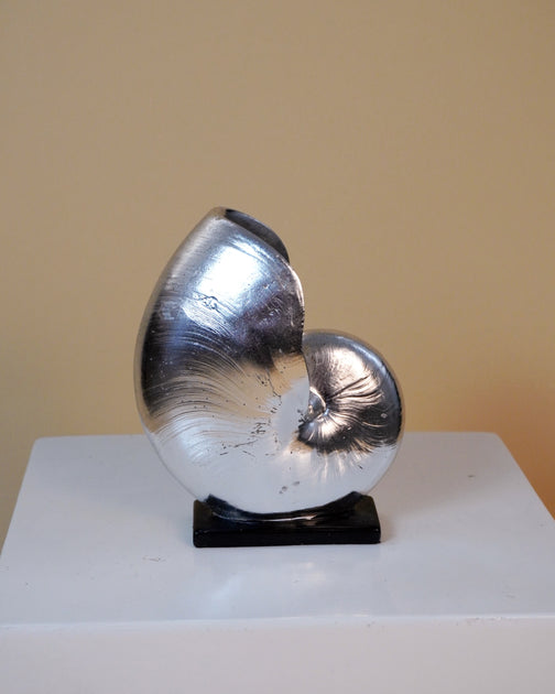 SOLD OUT | Midcentury Modern Silver-Painted Nautilus Shell Stand on Wo ...